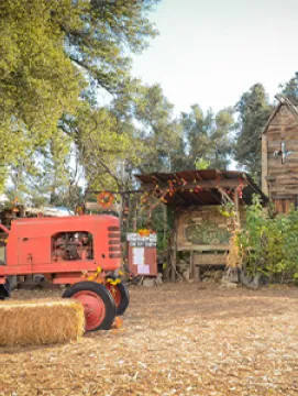 The Crossings at Carlsbad | San Diego