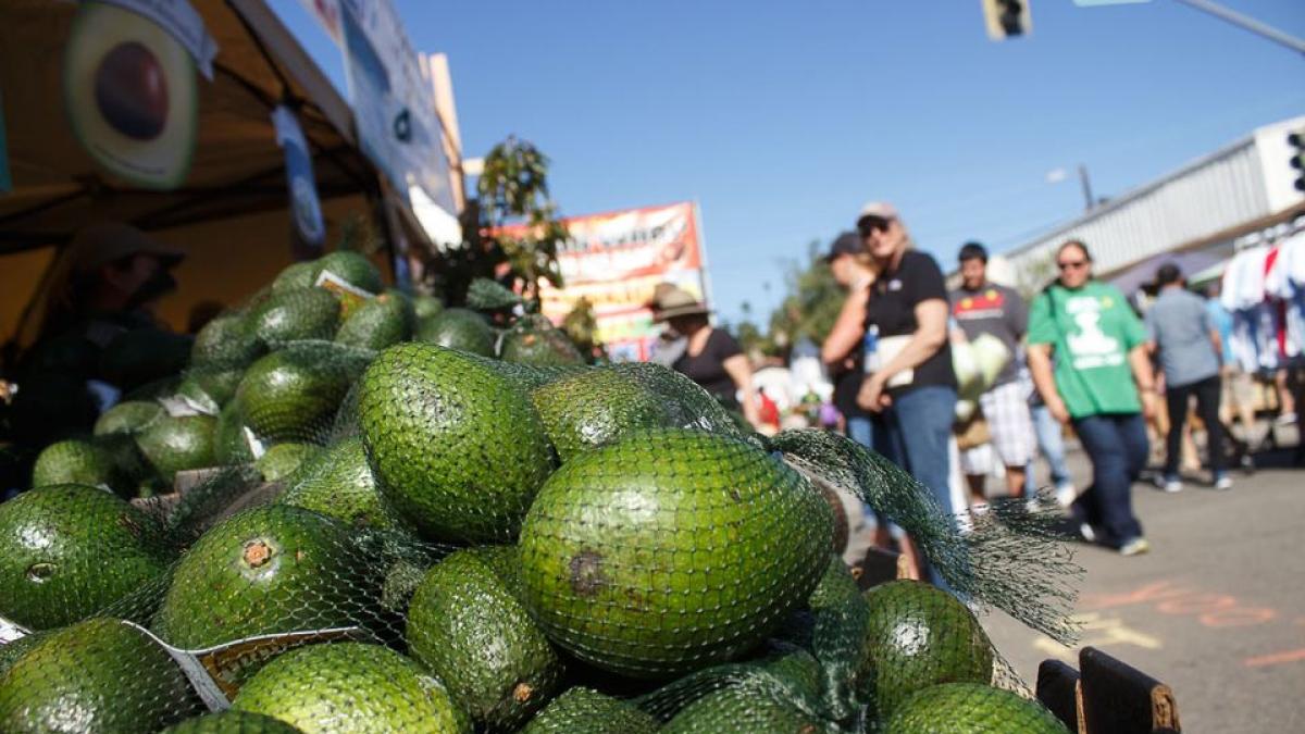 Fallbrook Avocado Festival | Apr 19, 2026 | San Diego, CA Events