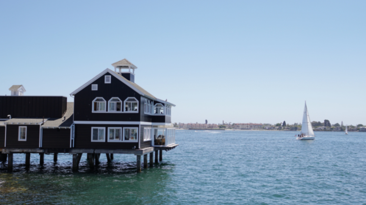 Shorebird | San Diego