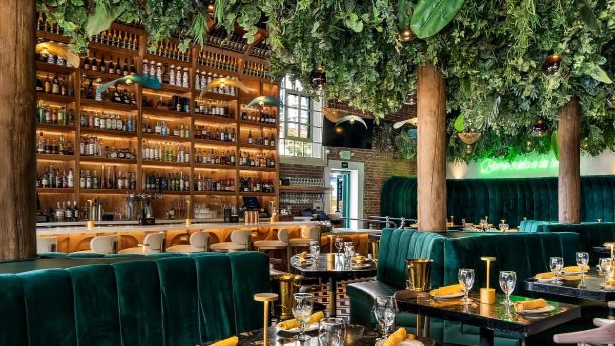 Zama Restaurant & Bar | San Diego